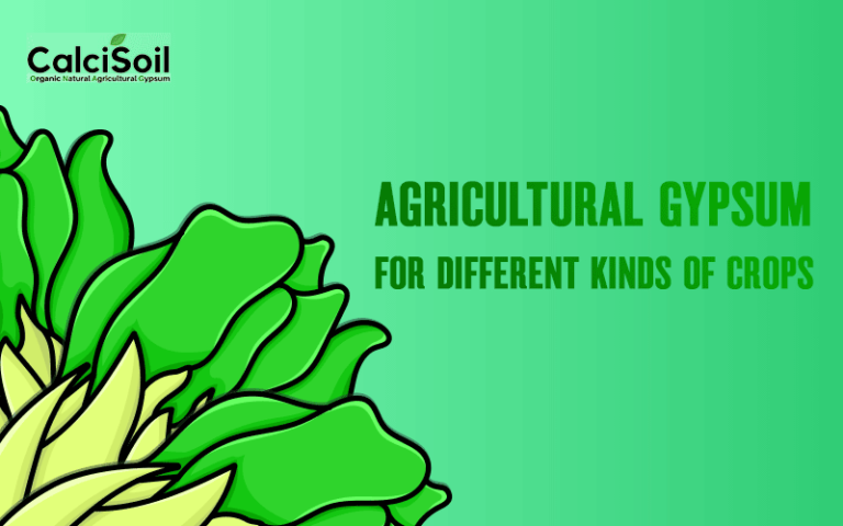 Agricultural Gypsum Application For Different Crops